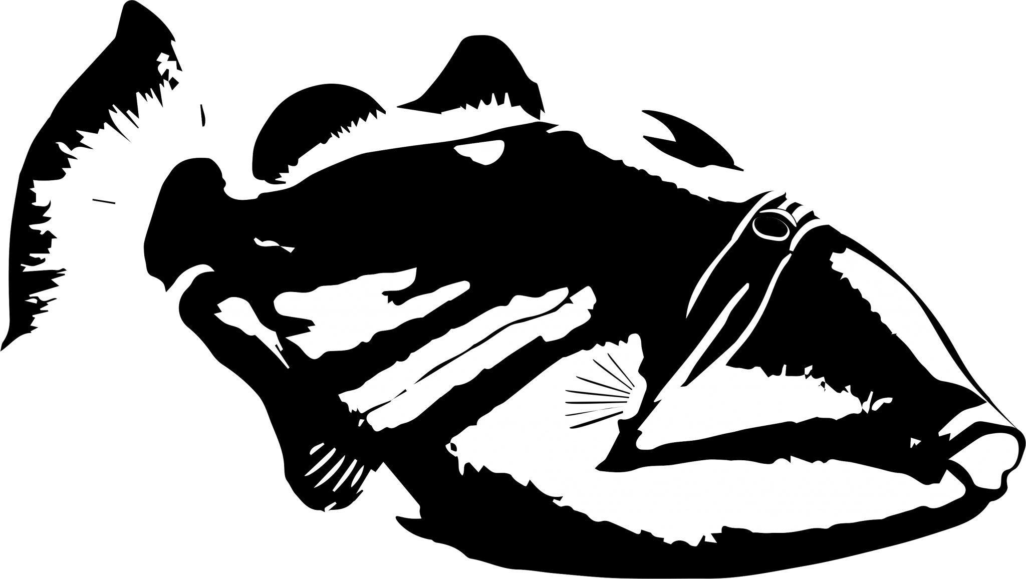 Home - triggerfish design studio